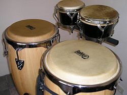 Conga - New World Encyclopedia