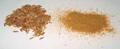 Cumin - New World Encyclopedia