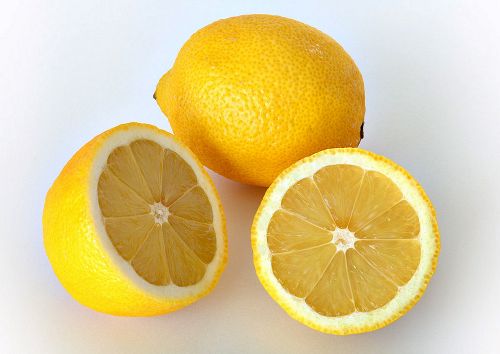 Citrus - New World Encyclopedia