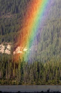 Rainbow - New World Encyclopedia
