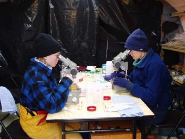 Antarctica - New World Encyclopedia