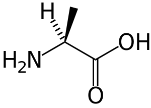 Alanine - New World Encyclopedia