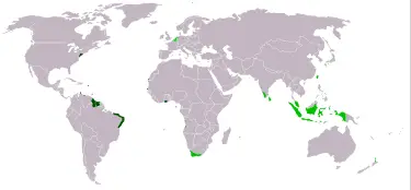 Dutch East India Company - New World Encyclopedia