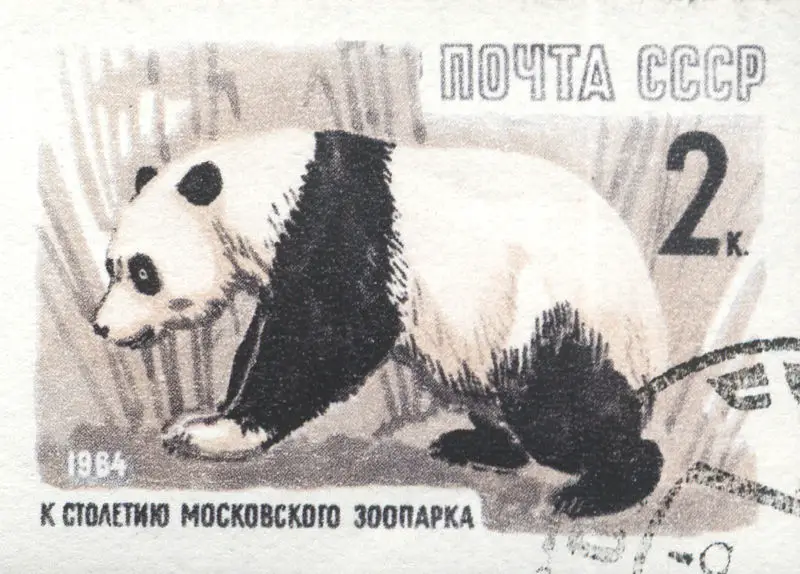 Panda - New World Encyclopedia
