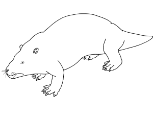 Mammal - New World Encyclopedia