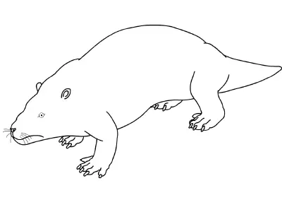 Mammal - New World Encyclopedia