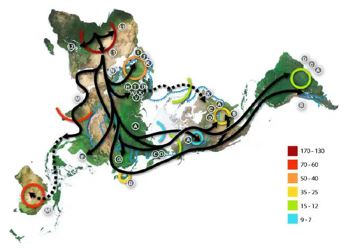Human migration - New World Encyclopedia