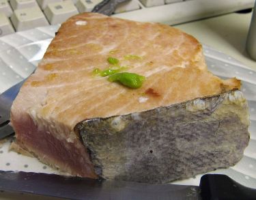 Albacore - New World Encyclopedia