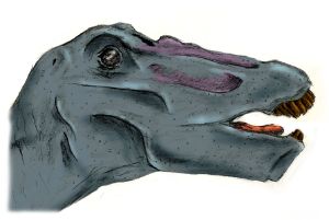 Apatosaurus - New World Encyclopedia
