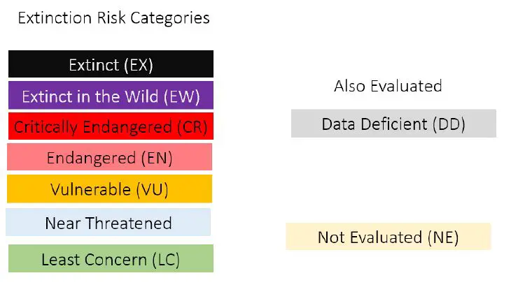 IUCN Red List - New World Encyclopedia