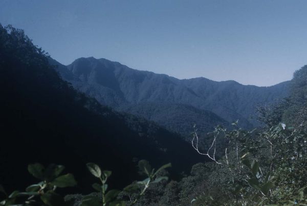 Papua New Guinea - New World Encyclopedia