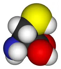 Cysteine - New World Encyclopedia