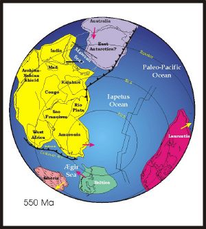 Gondwana - New World Encyclopedia