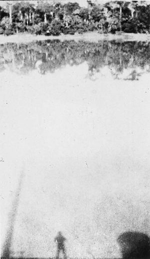 Mario de Andrade - New World Encyclopedia