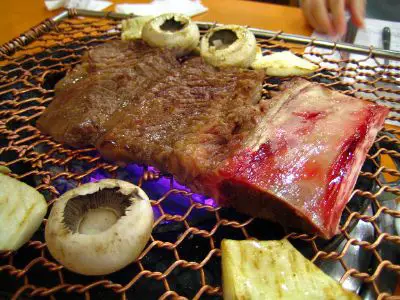 Barbecue - New World Encyclopedia