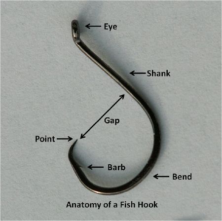 Fish hook - New World Encyclopedia