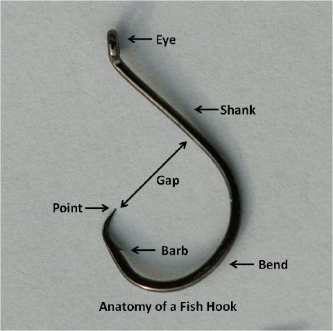 Fishing - New World Encyclopedia