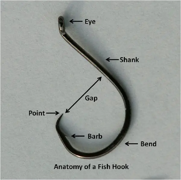 Fish hook - New World Encyclopedia