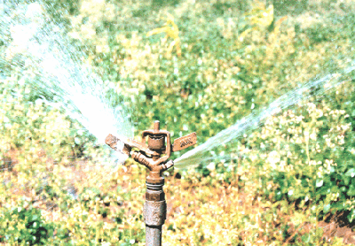 Irrigation - New World Encyclopedia