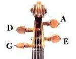 Violin - New World Encyclopedia