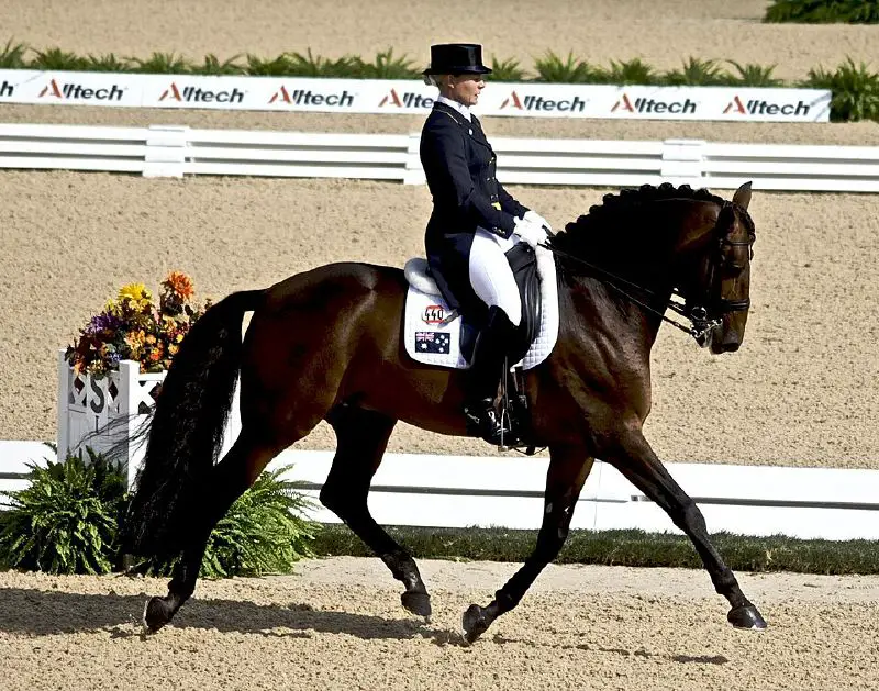 Equestrianism - New World Encyclopedia