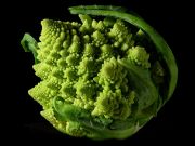 Broccoli - New World Encyclopedia