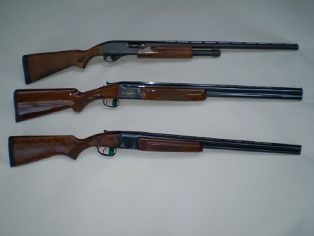 Shotgun - New World Encyclopedia