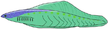 Agnatha - New World Encyclopedia
