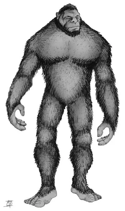 Sasquatch - New World Encyclopedia