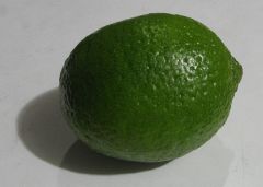 Lime (fruit) - New World Encyclopedia