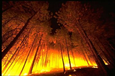 Fire - New World Encyclopedia