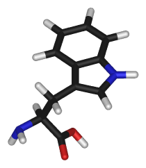 Tryptophan - New World Encyclopedia