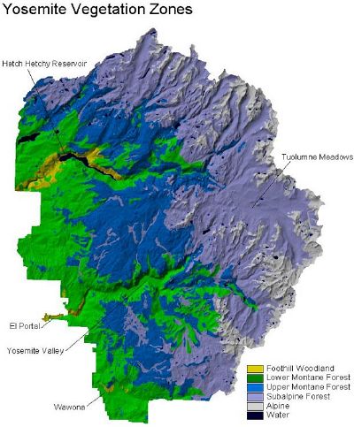 Sierra Nevada (U.S.) - New World Encyclopedia