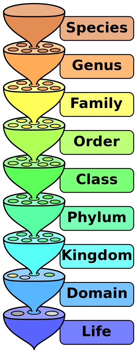 Definition - New World Encyclopedia