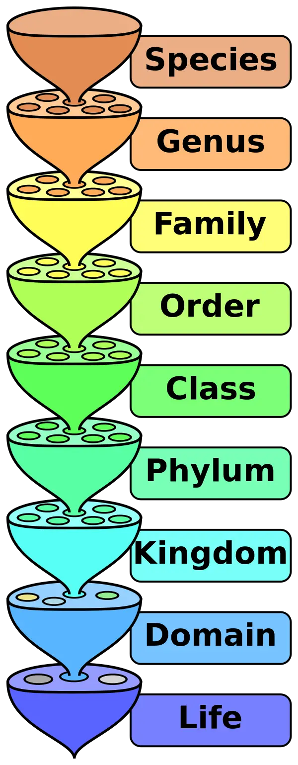 Definition - New World Encyclopedia