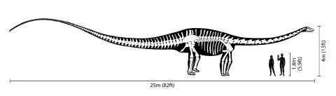 Dinosaur - New World Encyclopedia