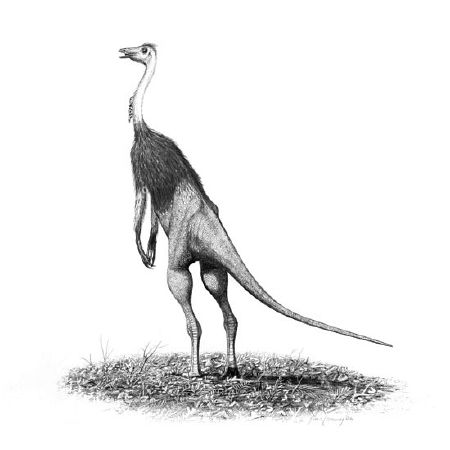 Dinosaur - New World Encyclopedia