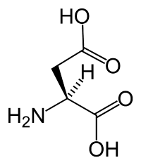 Aspartic acid - New World Encyclopedia
