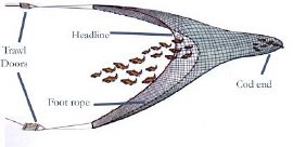 Fishing net - New World Encyclopedia