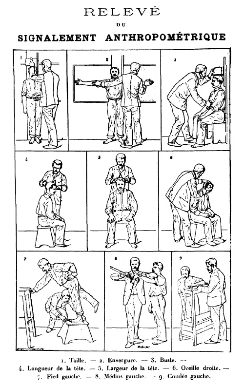 Anthropometry - New World Encyclopedia