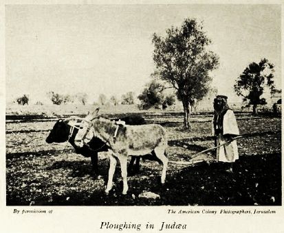 Plow - New World Encyclopedia