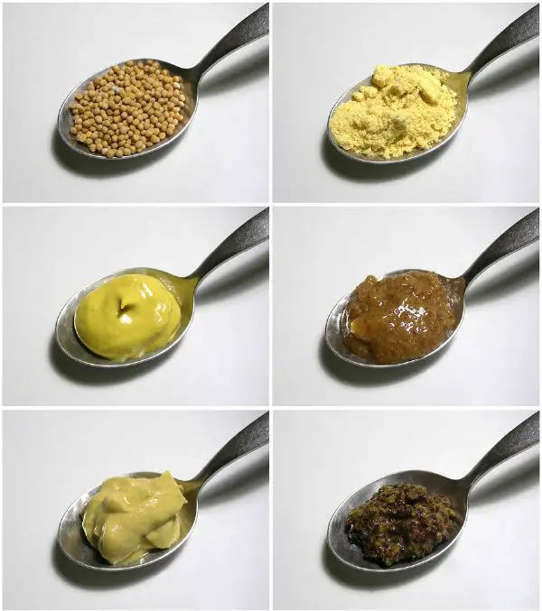 Mustard - New World Encyclopedia