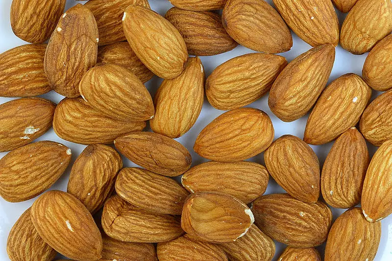 Almond - New World Encyclopedia