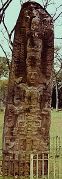 Stele - New World Encyclopedia