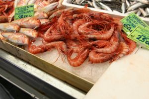 Shellfish - New World Encyclopedia