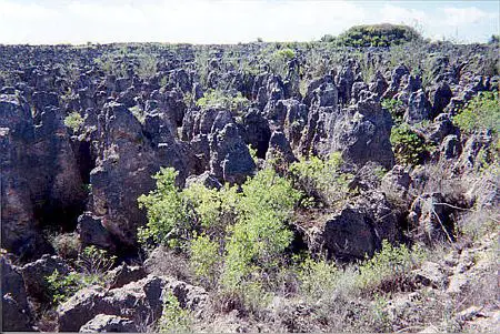 Nauru - New World Encyclopedia