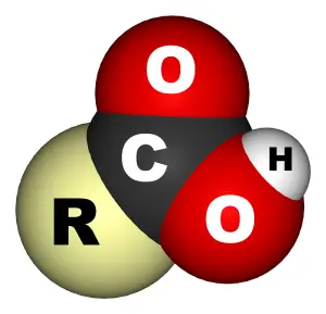 Carboxylic acid - New World Encyclopedia