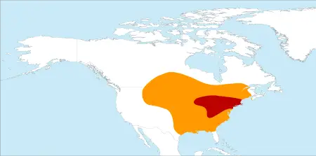 Passenger pigeon - New World Encyclopedia
