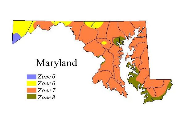 Maryland - New World Encyclopedia