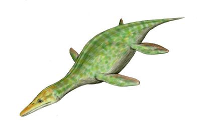 Pliosaur - New World Encyclopedia